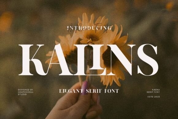 Kalins Font - Free Font