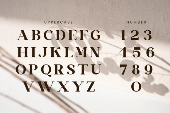 Vinaly Font - Free Font