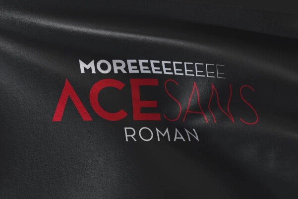 Ace Sans Roman Font - Free Font