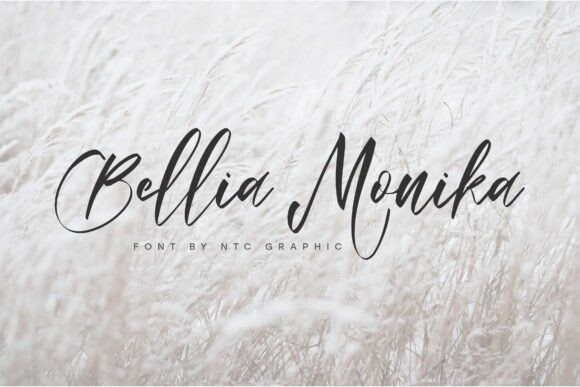 Bellia Monika Font - Free Font