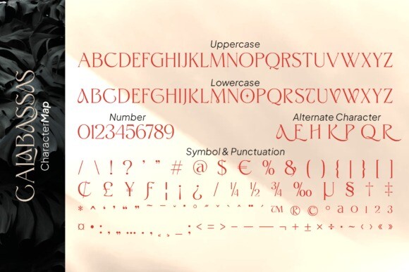 Calabassas Font - Free Font
