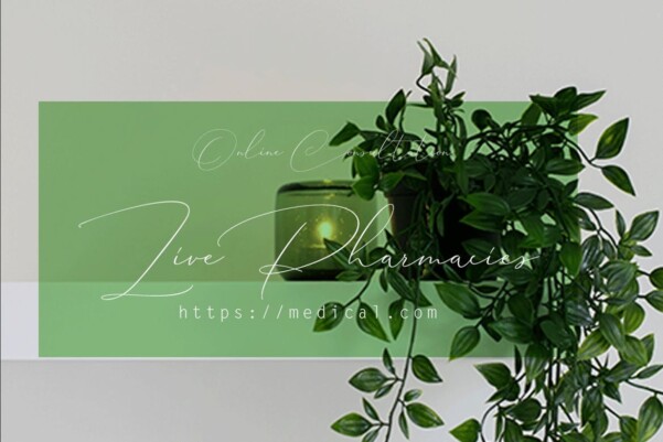Contract Sign Font - Free Font