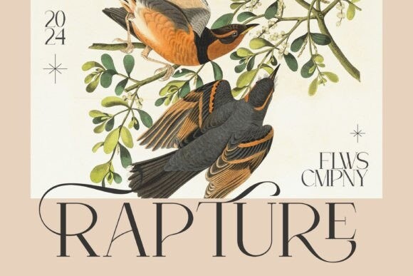 Heverly Font - Free Font