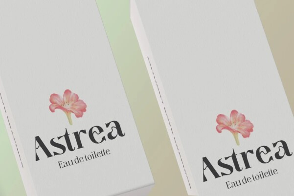Segina Font - Free Font