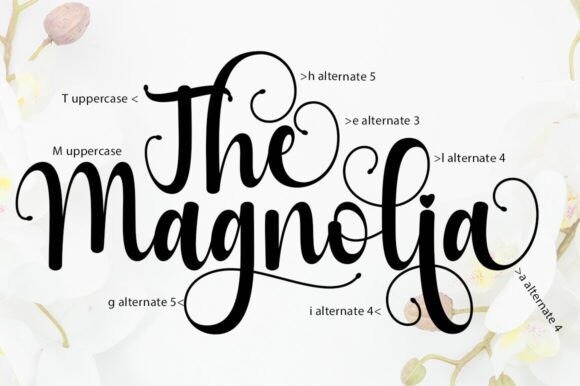 Simple Calligraphy Font - Free Font