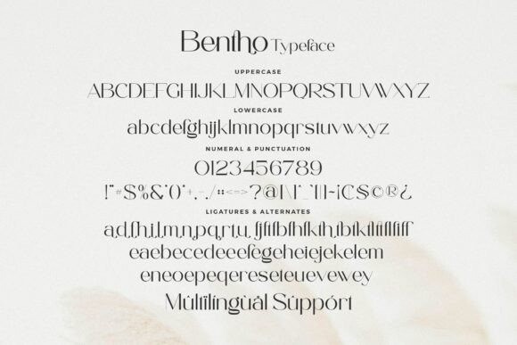 Bentho Font - Free Font