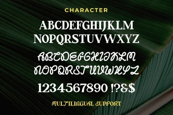 Dextor Font - Free Font