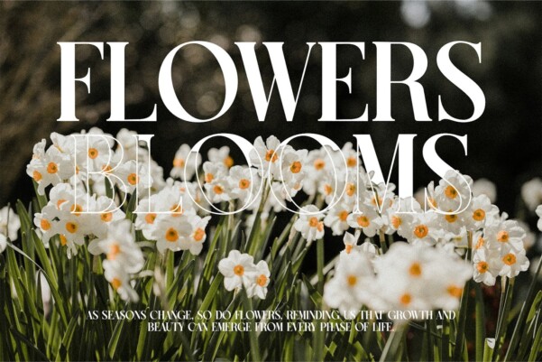 Glasio Font - Free Font