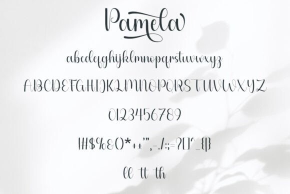 Pamela Script Font - Free Font