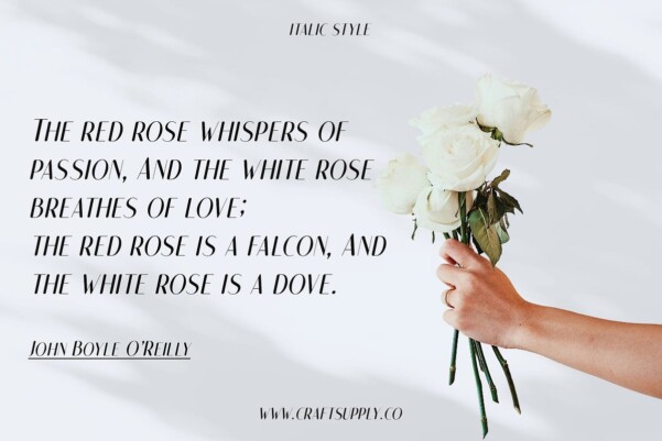 Roku Rounded Font - Free Font