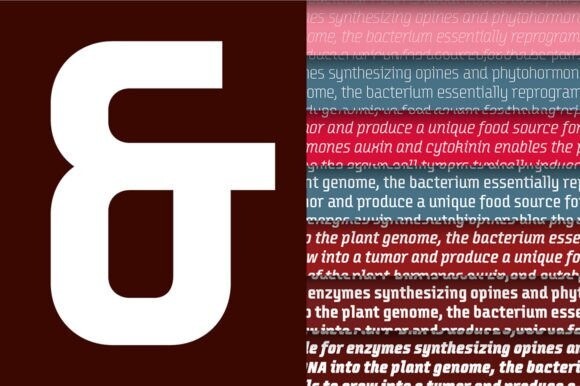 Transfer Font Family - Free Font