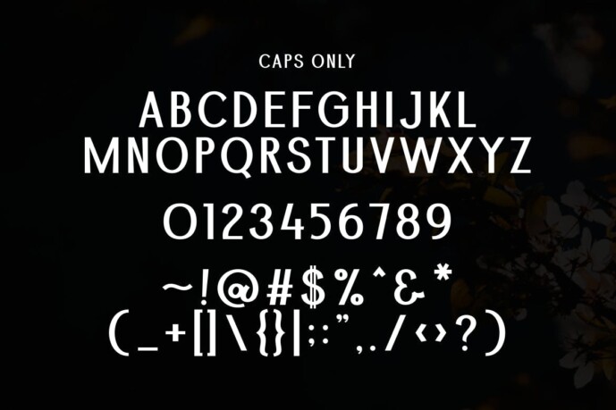 Demore Terate Font - Free Font