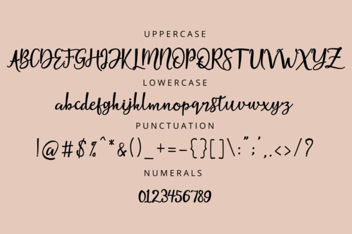 Michelle Script Font - Free Font