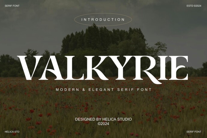 Valkyrie Serif Font - Free Font