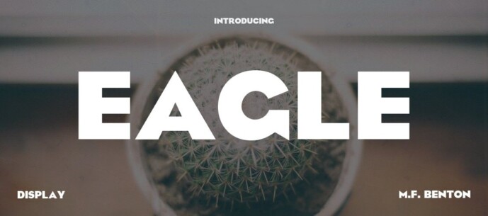 Eagle Sans Font - Free Font