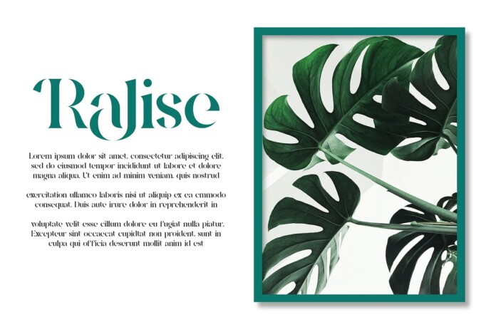 Negita Font - Free Font