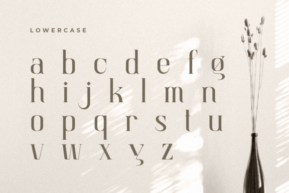 Quora Font - Free Font