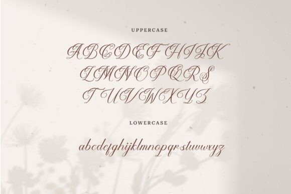 Selviary Font - Free Font