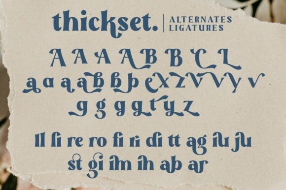 Thickset Font - Free Font