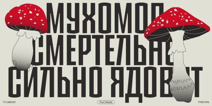 TT Carvist Font Family - Free Font
