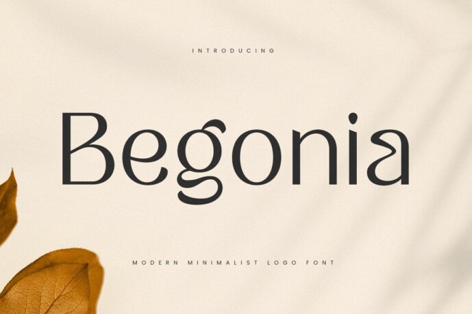 Begonia Sans Font - Free Font