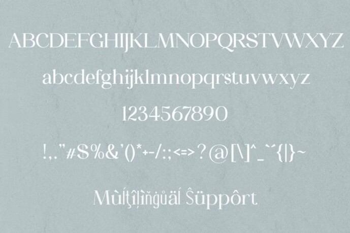 Camellia Serif Font - Free Font