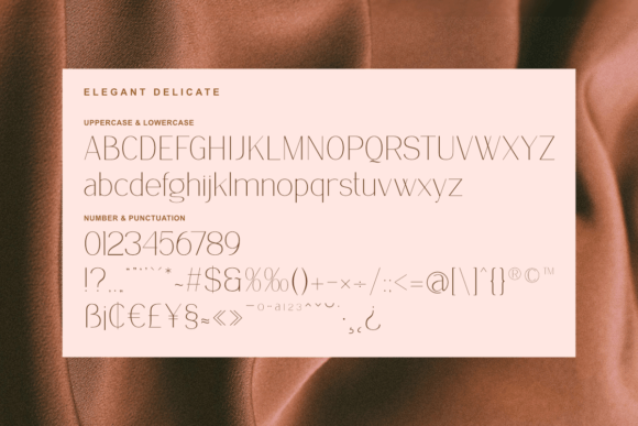 Delicate Elegance Font - Free Font