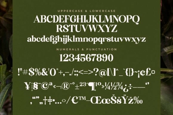 Florista Mango Font - Free Font