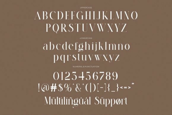 Fragile Serif Font - Free Font