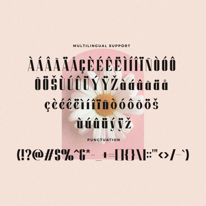 Moonlight Serif Font - Free Font