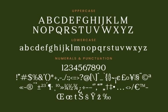 Regime Misfiles Font - Free Font