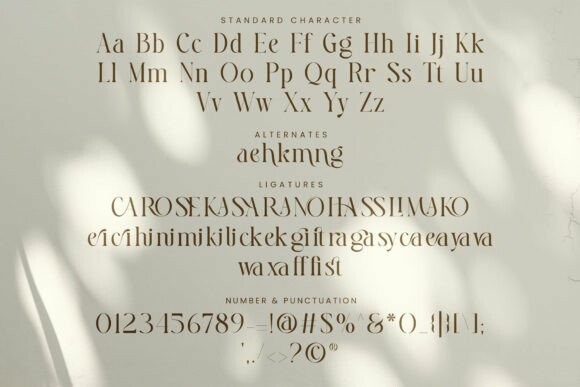 Sunshera Font - Free Font