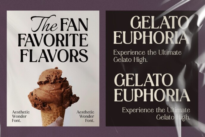 Aesthetic Wonder Font Family - Free Font