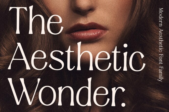 Aesthetic Wonder Font Family - Free Font