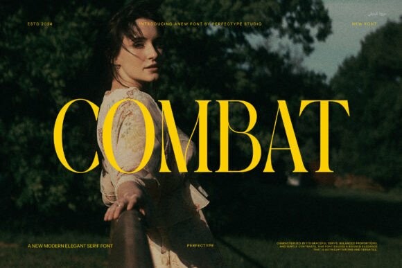 Combat Font - Free Font