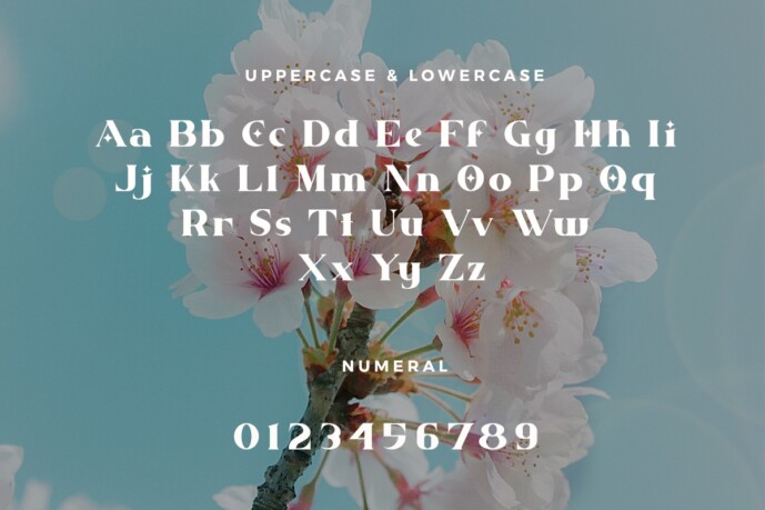 Flawless Font - Free Font