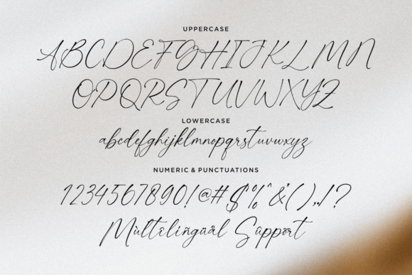 Modern Boutique Font - Free Font