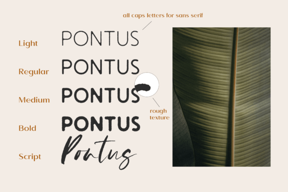 Pontus Font - Free Font