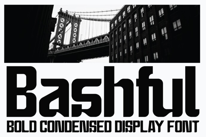 Bashful Font - Free Font
