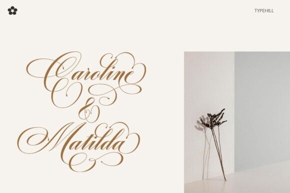 Cut Putroe Navisha Font - Free Font