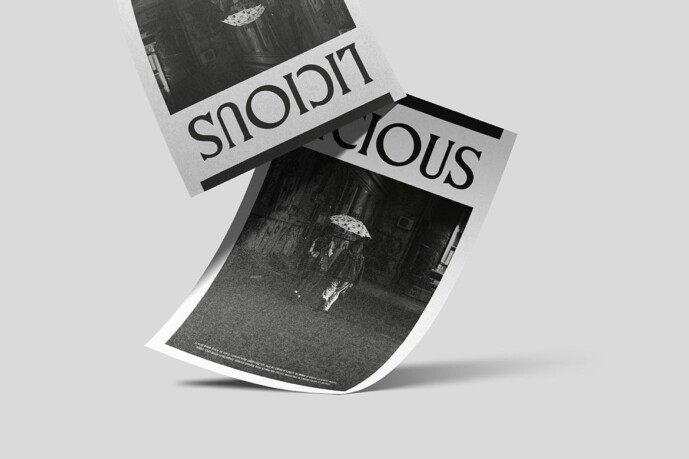 Monique Serif Font - Free Font