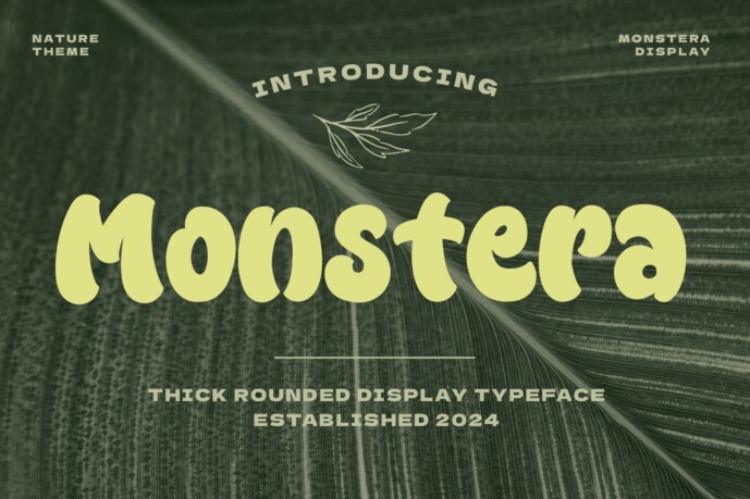 Monstera Playful Font - Free Font