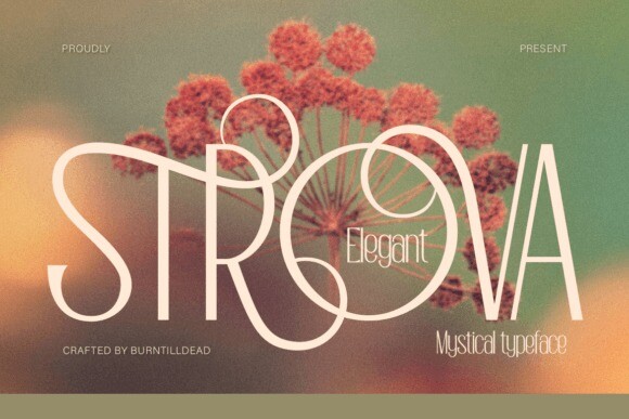 Strova Font - Free Font