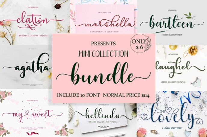 Mini Bundle - 10 Premium Fonts - Free Font