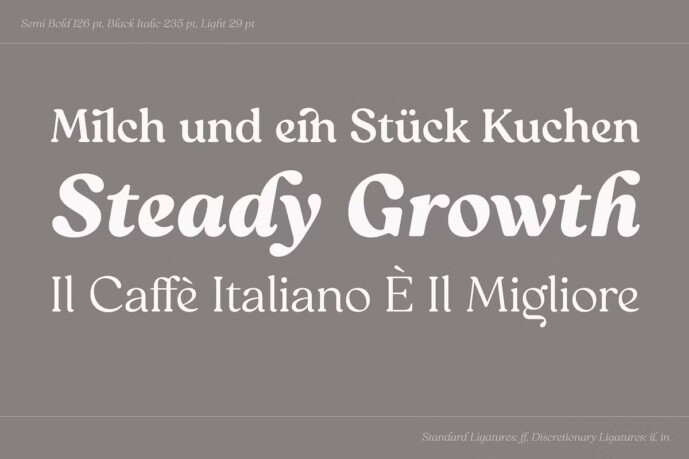 Reigo Font Family - Free Font