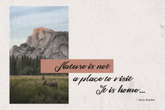 Romane Font - Free Font