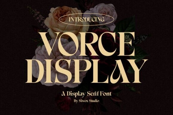 Vorce Display Font - Free Font