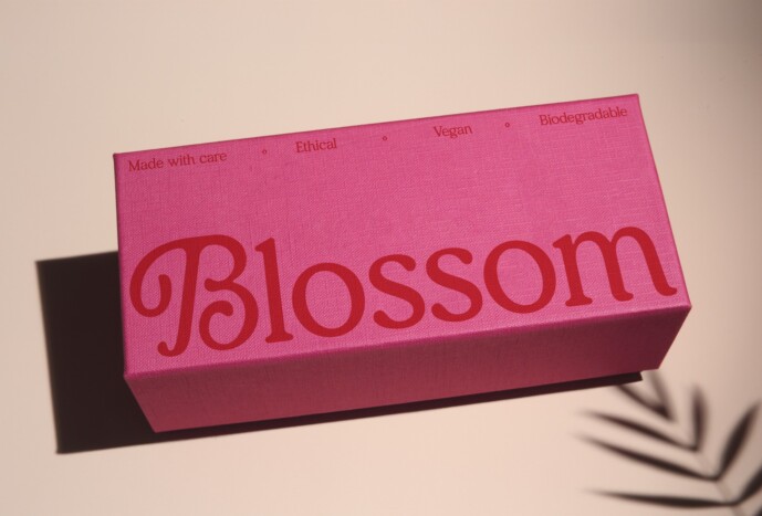 Meraki Typeface - Free Font