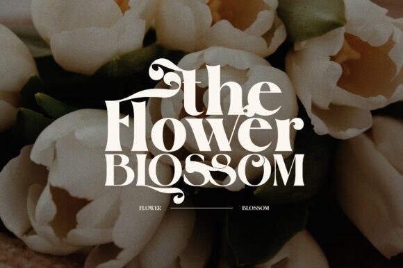 Robika Font - Free Font