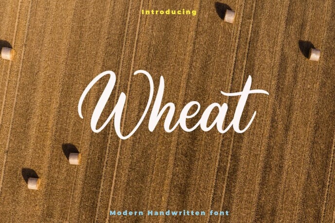 Wheat Script Font - Free Font